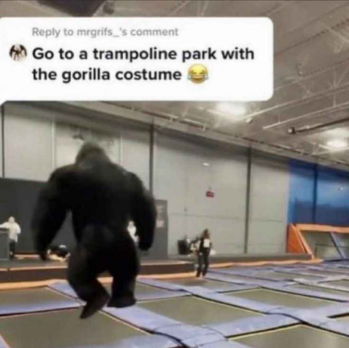 Create a THE PROJECT! Tier List - TierMaker