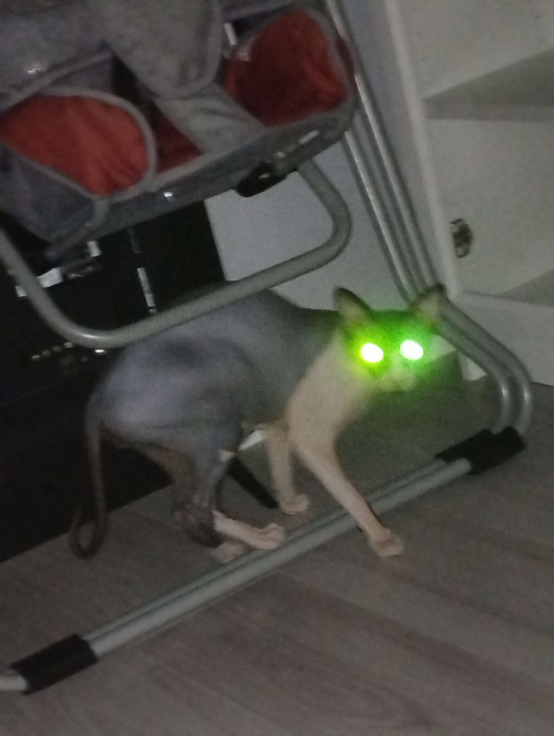 Create A Vees Ocs Tier List Tiermaker