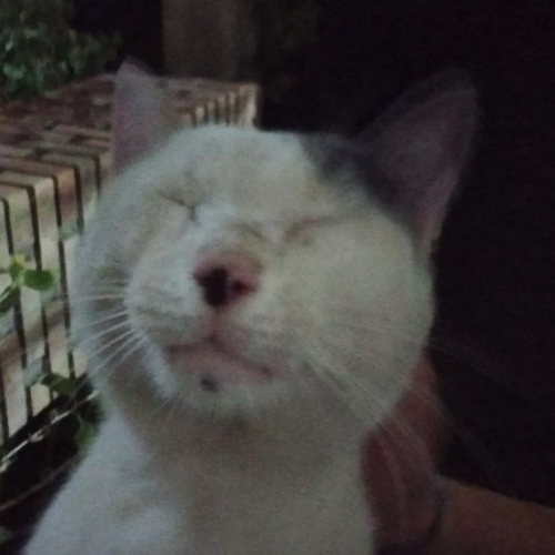 Tierlist ta3 elite Tier List (Community Rankings) - TierMaker