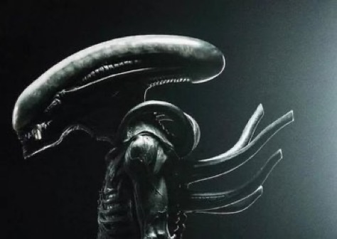 Xenomorph (and adjacent) designs Tier List (Community Rankings) - TierMaker