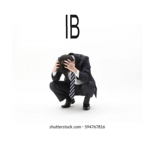 Create a IB Subjects Tierlist Tier List - TierMaker