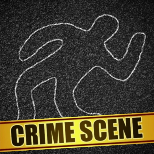 Create a Criminal Case (Canon and Fanfics) District Finale Victims Tier ...