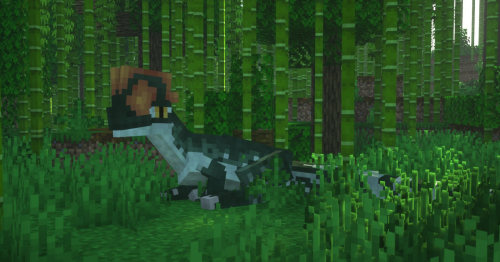 Create a Fossils and archaeology revival creatures Tier List - TierMaker