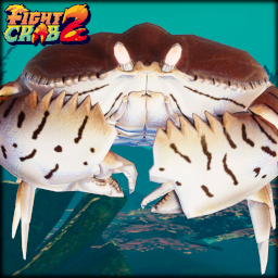 [FIGHT CRAB 2] Calappa Tier List (Community Rankings) - TierMaker