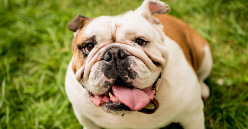 Create a tierlist spain g Tier List - TierMaker