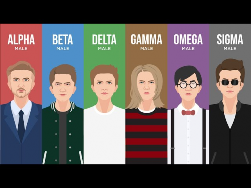 Create a Male Hierarchy Tier List - TierMaker