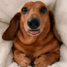 Create a asdfff Tier List - TierMaker