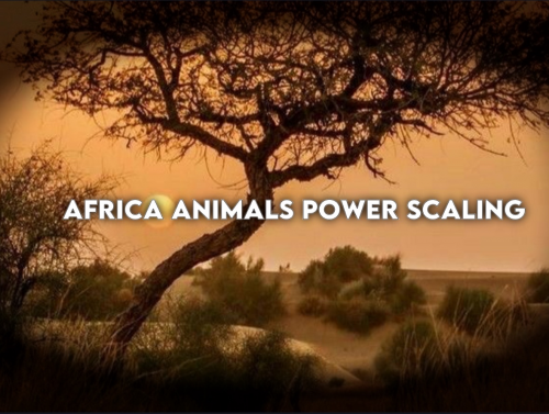 africa animals power scaling Tier List (Community Rankings) - TierMaker