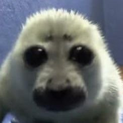 Final Destination Main Characters Tier List (Community Rankings ...