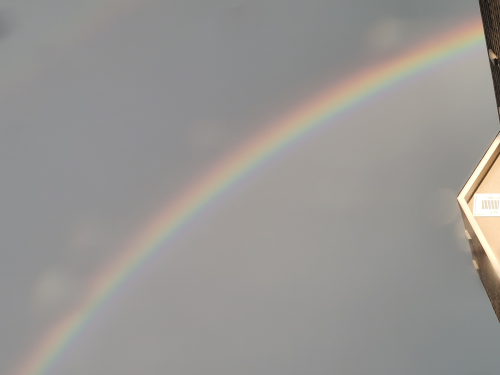 Create a Plot tropes/plot devices that butter my bread Tier List - TierMaker