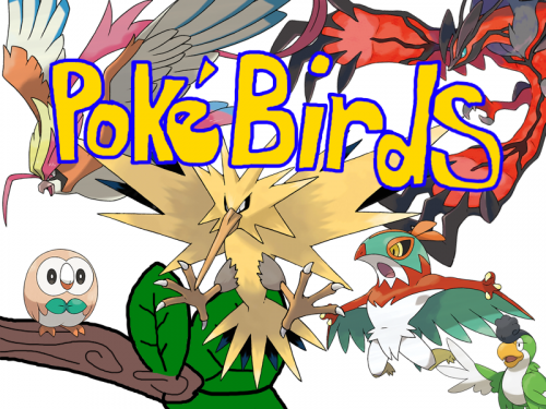 Create a Birds of Pokemon Tier List - TierMaker