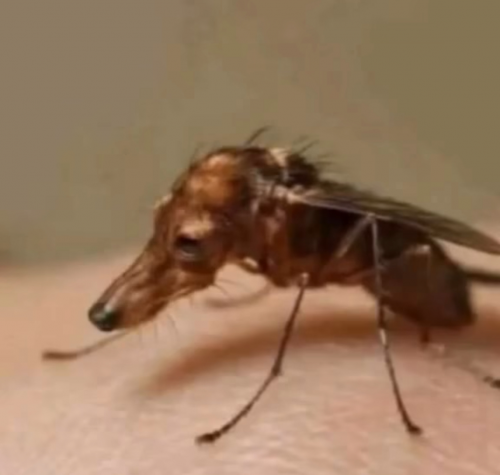 Create a My Music Collection Tier List - TierMaker