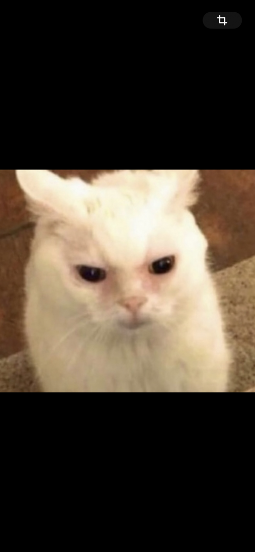 TIERLIST SMEH LEE Tier List (Community Rankings) - TierMaker