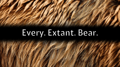 Every. Bear. Alive Today. (Labeled & Organized) Tier List (Community Rankings) - TierMaker