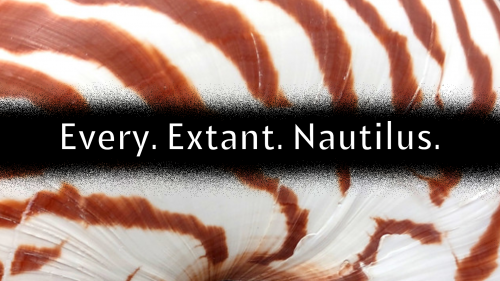 Create a Every. Nautilus. Alive Today. (Labeled & Organized) Tier List ...