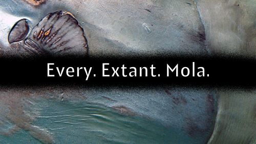 Create a Every. Ocean Sunfish. Alive Today. (Labeled & Organized) Tier ...