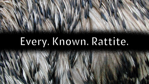 Create a Every. Ratite. Alive Today. (and those historically extinct ...
