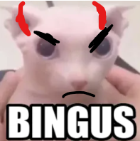 bingus bingus Tier List (Community Rankings) - TierMaker