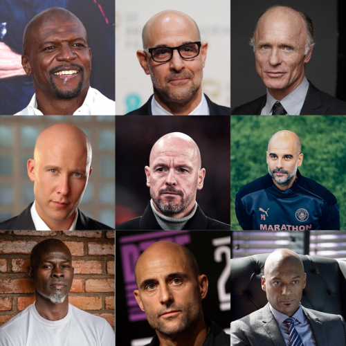 Create a Bald Celebrities Tier List - TierMaker