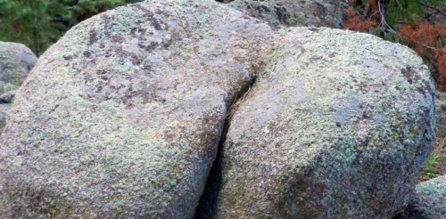 Create a Super Ultimate Butt Rock/Dad Rock Tier List - TierMaker