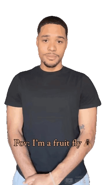 Create A Tragics Wife Tierlist Tier List Tiermaker