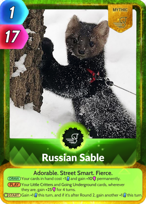 Create a WanderingSable's Custom Cards Tier List - TierMaker