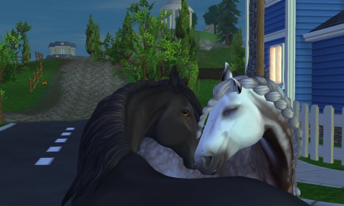 SSO ALL HORSES (MARCH 2024) Tier List (Community Rankings) - TierMaker