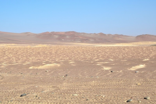 Create a CEJ Contestant Maker Tier List - TierMaker