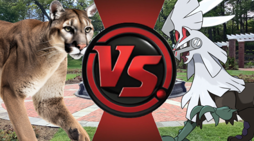 Create a Normal Type Pokemon Vs Mountain Lion (Alola) Tier List - TierMaker