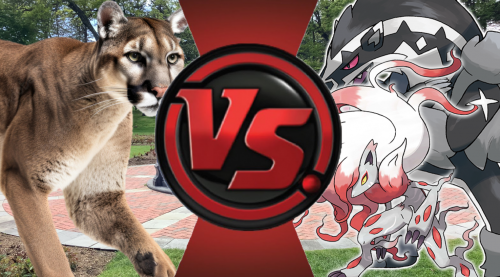 Create a Normal Type Pokemon Vs Mountain Lion (Galar/Hisui) Tier List ...