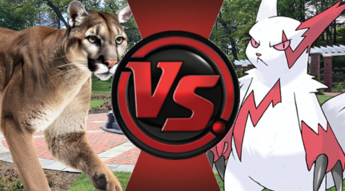 Create a Normal Type Pokemon Vs Mountain Lion (Hoenn) Tier List - TierMaker