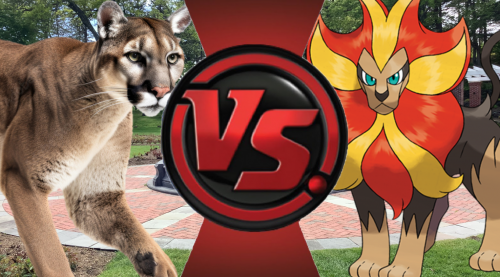 Create a Normal Type Pokemon Vs Mountain Lion (Kalos) Tier List - TierMaker