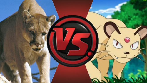 Create a Normal Type Pokemon Vs Mountain Lion (Kanto) Tier List - TierMaker