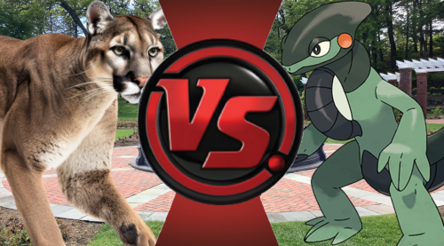 Create a Normal Type Pokemon Vs Mountain Lion (Paldea) Tier List ...