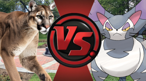 Create a Normal Type Pokemon Vs Mountain Lion (Sinnoh) Tier List ...