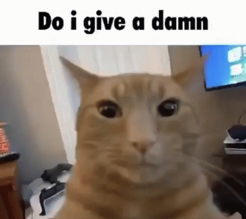 Legendary Doodles Tier List (Community Rankings) - TierMaker