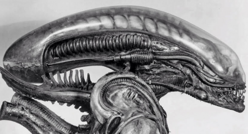 Create a Xenomorphs Of The Alien Franchise Tier List - TierMaker