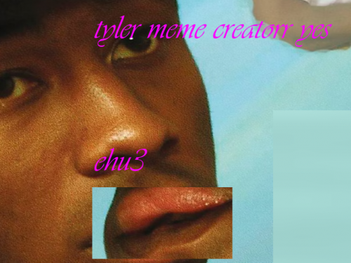 Create a Tyler El Most Created Er Tier List - TierMaker