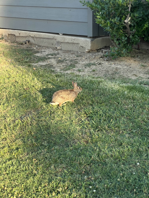 Chat V2 Template Tier List (Community Rankings) - TierMaker