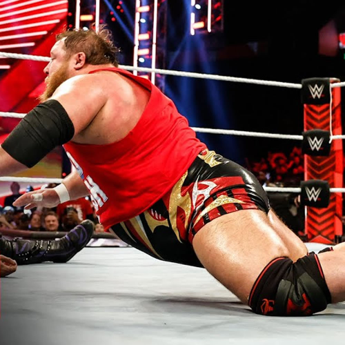 Create a WWE Finishers 2025 Tier List - TierMaker