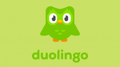 Create a Everything Duolingo Tier List - TierMaker