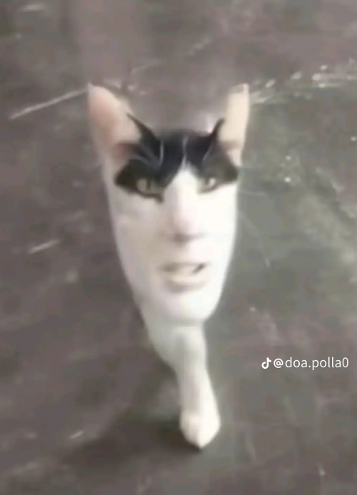 Create a Bloxy Devs 2025 Tier List - TierMaker