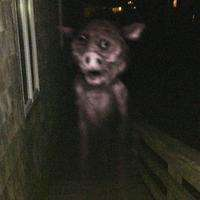 Create a Nextbot sandbox (update) Tier List - TierMaker