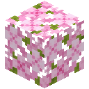 Create a Minecraft Blocks and Items (1.20) Tier List - TierMaker