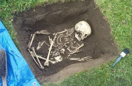 volta/tdsl tierlist (2024-whatever) Tier List (Community Rankings ...