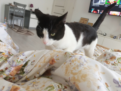 Create a Best friends the sequel Tier List - TierMaker