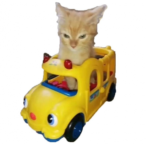 RIU members Tier List (Community Rankings) - TierMaker