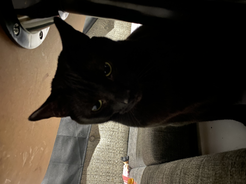 Iko songs Tier List (Community Rankings) - TierMaker