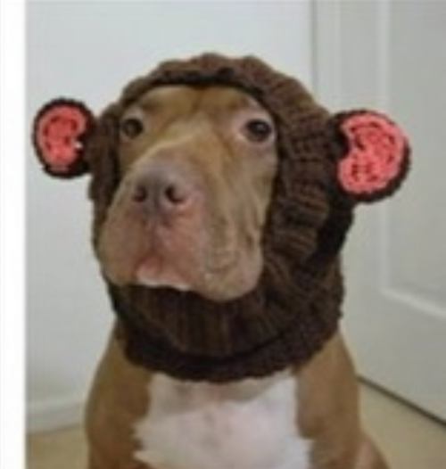 Cayden's PFP's Tier List (Community Rankings) - TierMaker