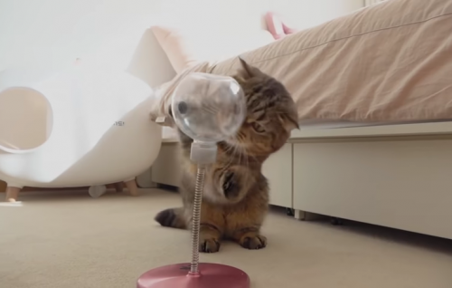 Create a Create A Bunch Of Object Planet Characters On List Tier List ...